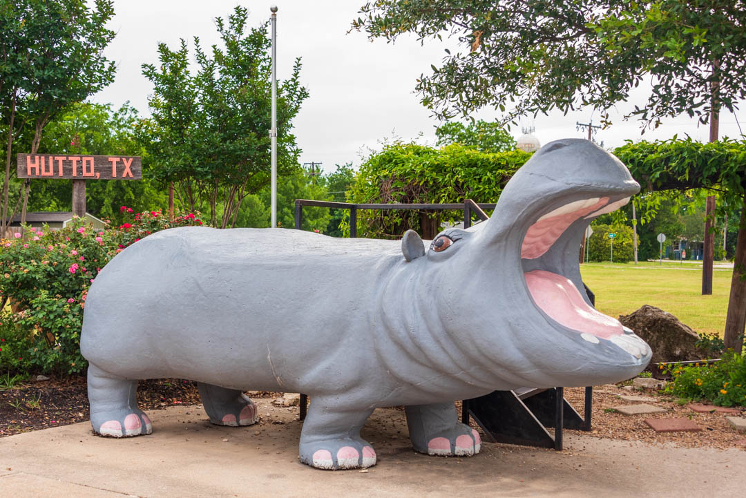 Hutto, Hippo Capitol of Texas! – Anything Is Possible Travel