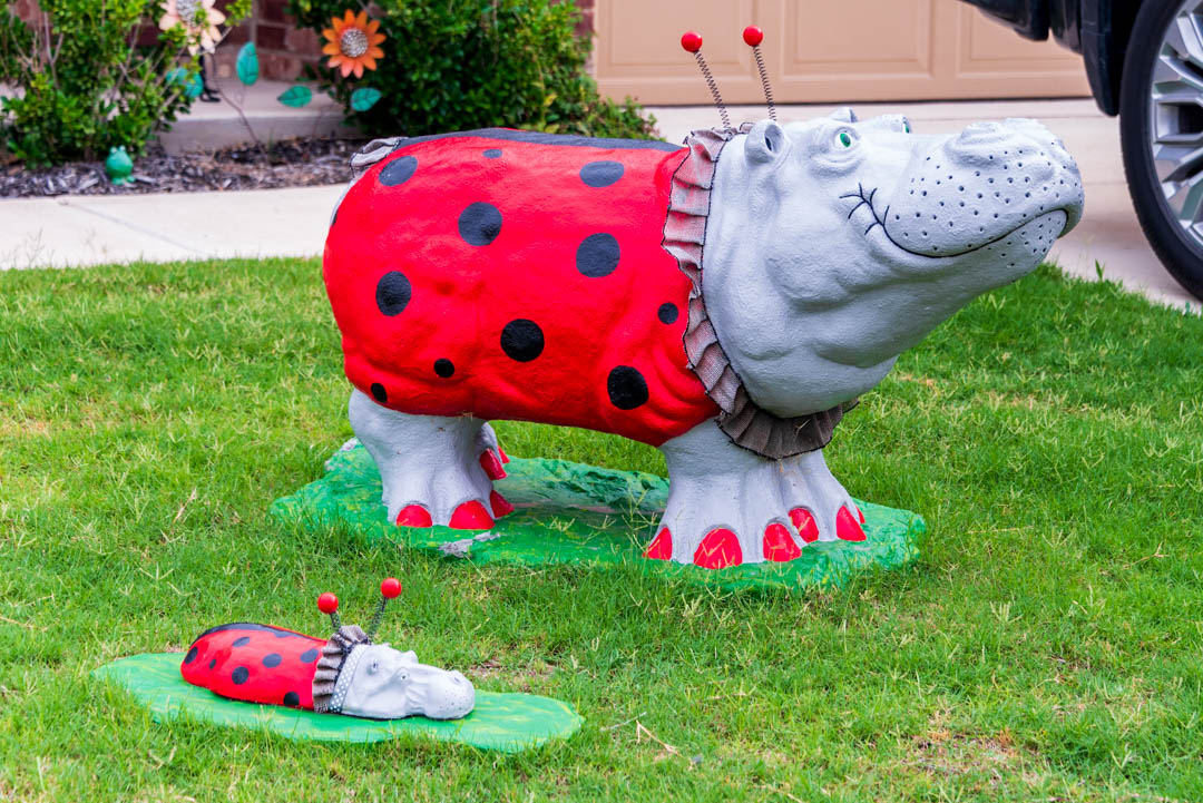 Hutto, Hippo Capitol of Texas! – Anything Is Possible Travel
