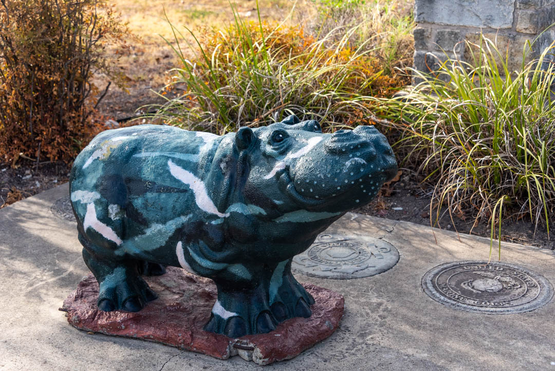 Hutto, Hippo Capitol of Texas! – Anything Is Possible Travel